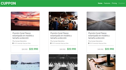 Curriculum Vitae David Rivera